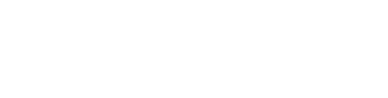 Le MoMuse fête ses 5 ans ! - Momuse